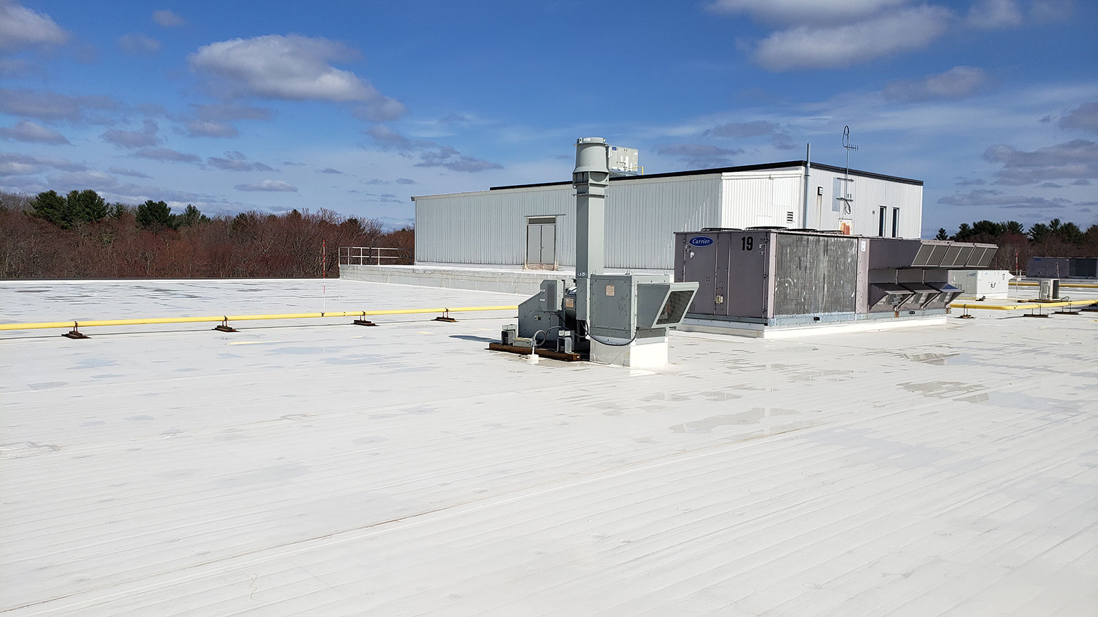 Home - Specialized Roofing